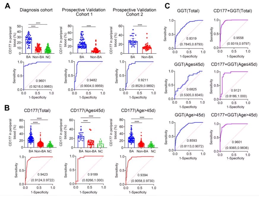 发现外周血CD177+细胞作为胆道闭锁的早期诊断标志物