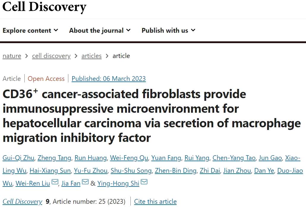 IF=38！复旦大学史颖弘/樊嘉/刘卫仁发现CD36+癌相关成纤维细胞通过分泌巨噬细胞迁移抑制因子为肝细胞癌提供免疫抑制微环境！-健康160