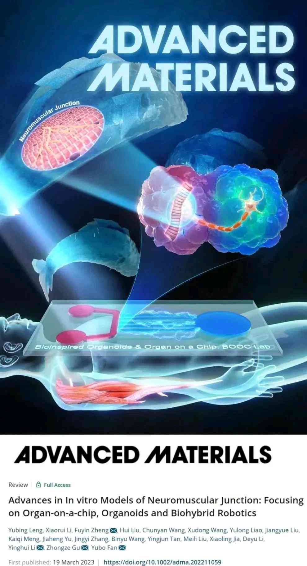《Adv. Mater.》刊发北航樊瑜波/郑付印团队综述文章“神经肌肉接头体外模型新进展：聚焦器官芯片，类器官和生物杂交机器人”！