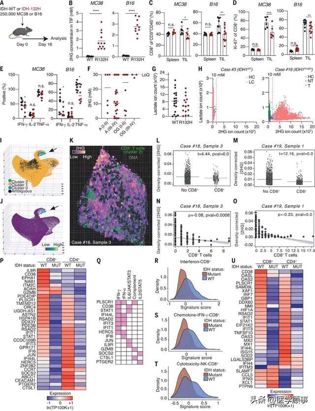 Science | 致癌代谢物D-2HG通过改变T细胞代谢损害CD8+ T 细胞功能！