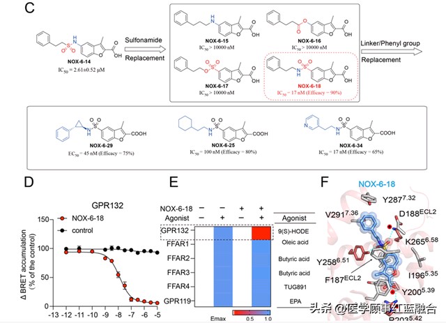 糖尿病治疗新靶点！揭示GPR132的关键作用！