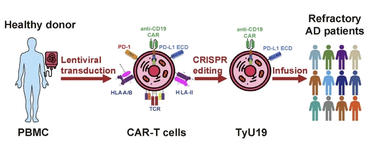 Cell|徐沪济领衔的团队成功使用通用型CAR-T细胞疗法治疗难治复发性风湿免疫性疾病！