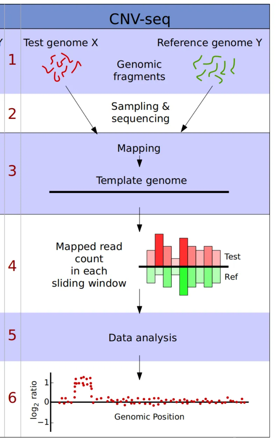 CMA还是CNV-seq？
