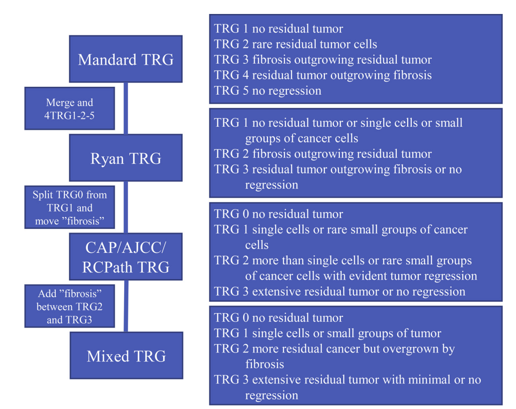 干货-新辅助放化疗后TRG评分方法归纳